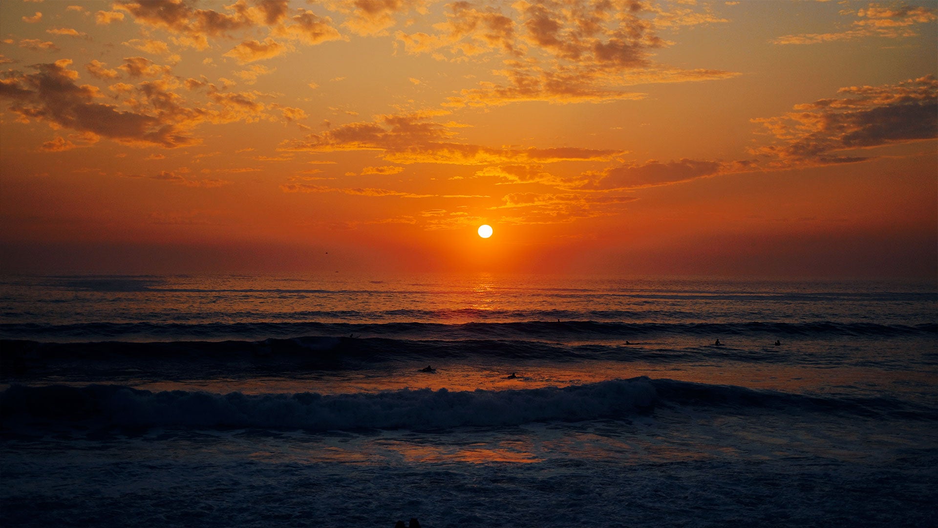 Sharp's Brewery | Brewer of the UK's No.1 Cask Ale, Doom Bar